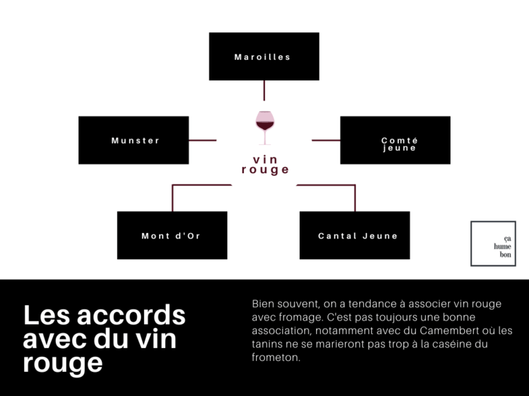 Infographie : 5 fromages qui s'accordent avec du vin rouge - Ca hume bon